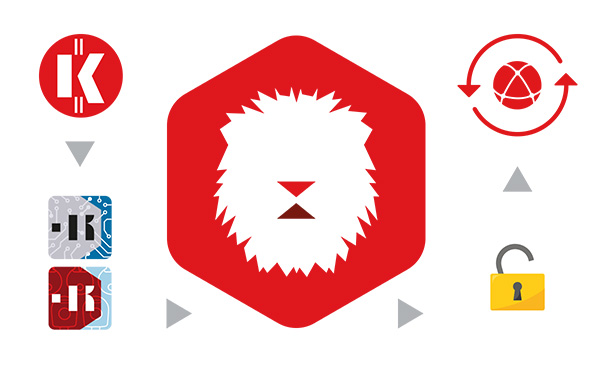 A NEW VERSION OF LIGER SOFTWARE: 4.03.0!